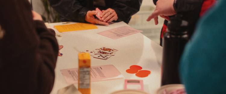 Random Decision Maker | Online Fair Choice Picker for Groups & Meetings